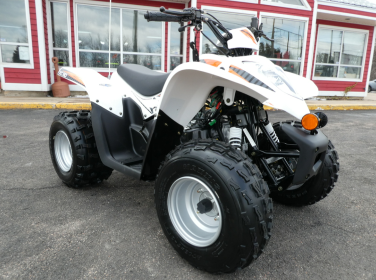 2022 Argo Other 90 CC | Powersports | Products | LJ Patterson Sales ...